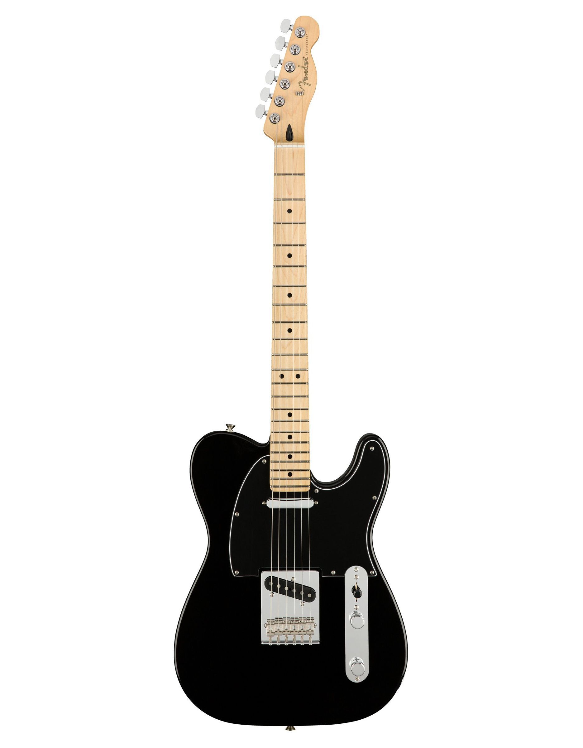 Fender player store